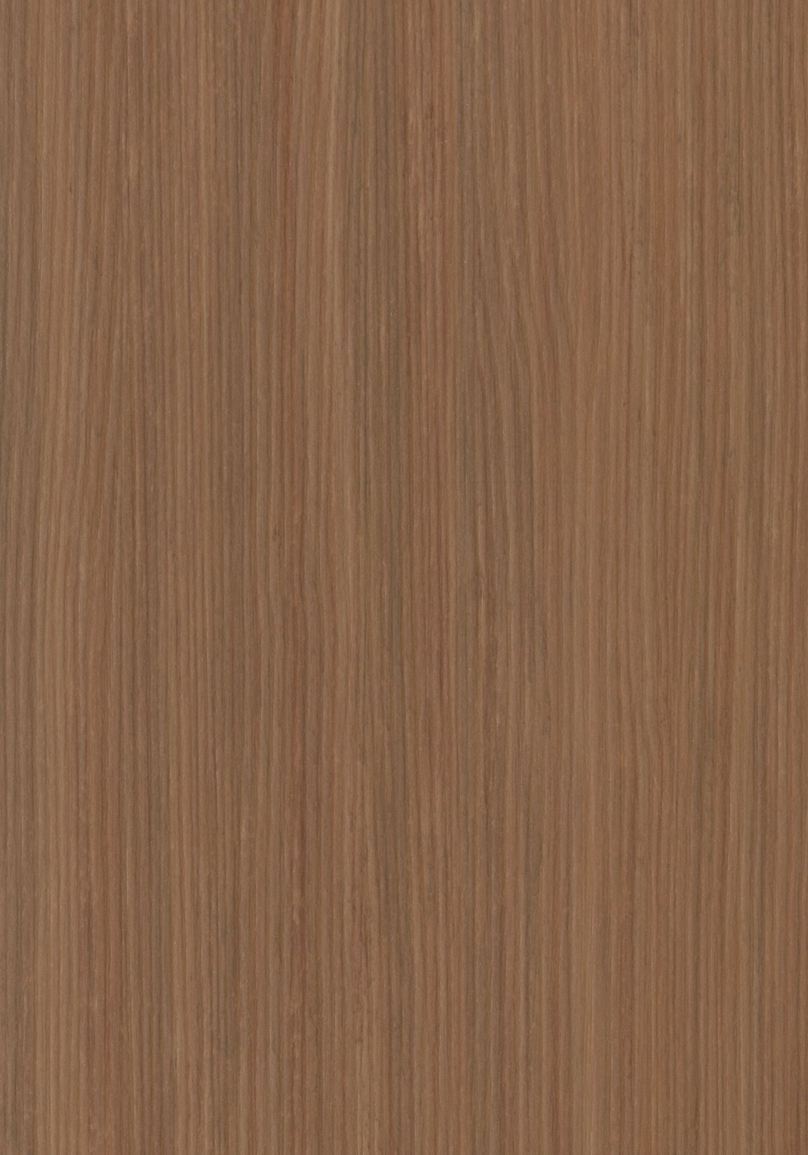 Orletto Striato